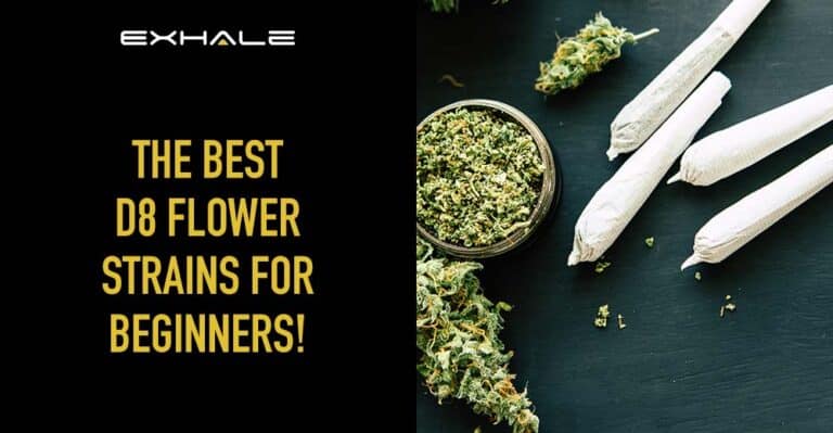 Beginner's Guide to D8 Strains - Exhale Wellness