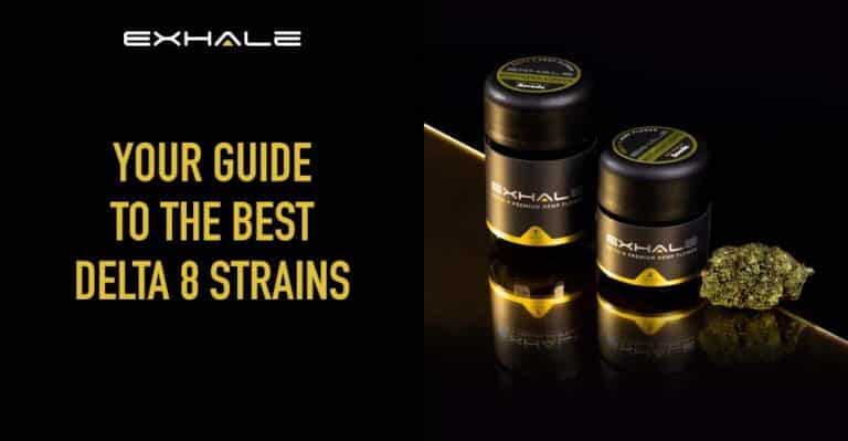 Best and Strongest Delta 8 Flowers: 7 Strains That Pack a Punch ...