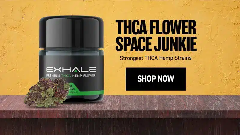 Best High Thca Flower Strains In 2024 Review By Exhale Wellness - Exhale Wellness