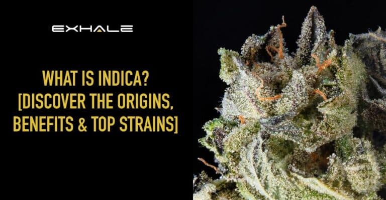 Exhale Wellness - Premium Hemp Based Products