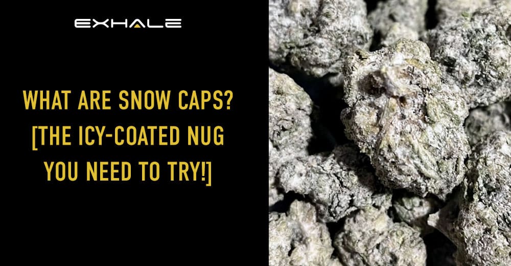 What Is a Snow Cap Strain? [A Beginner's Guide To Snow Caps Weed ...